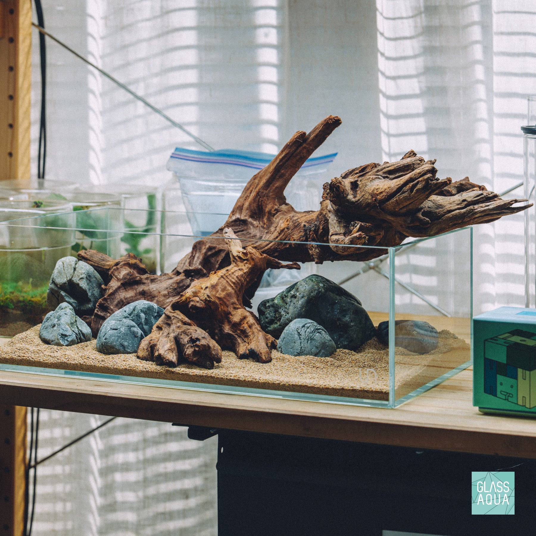 Quick Scape 152 – Curated Aquascapes | Glass Aqua