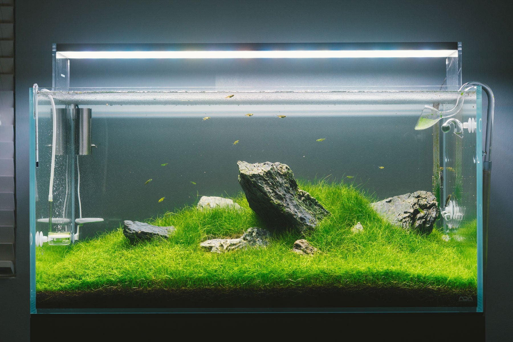 Jagged Mountain - ADA 90P Aquarium | Glass Aqua