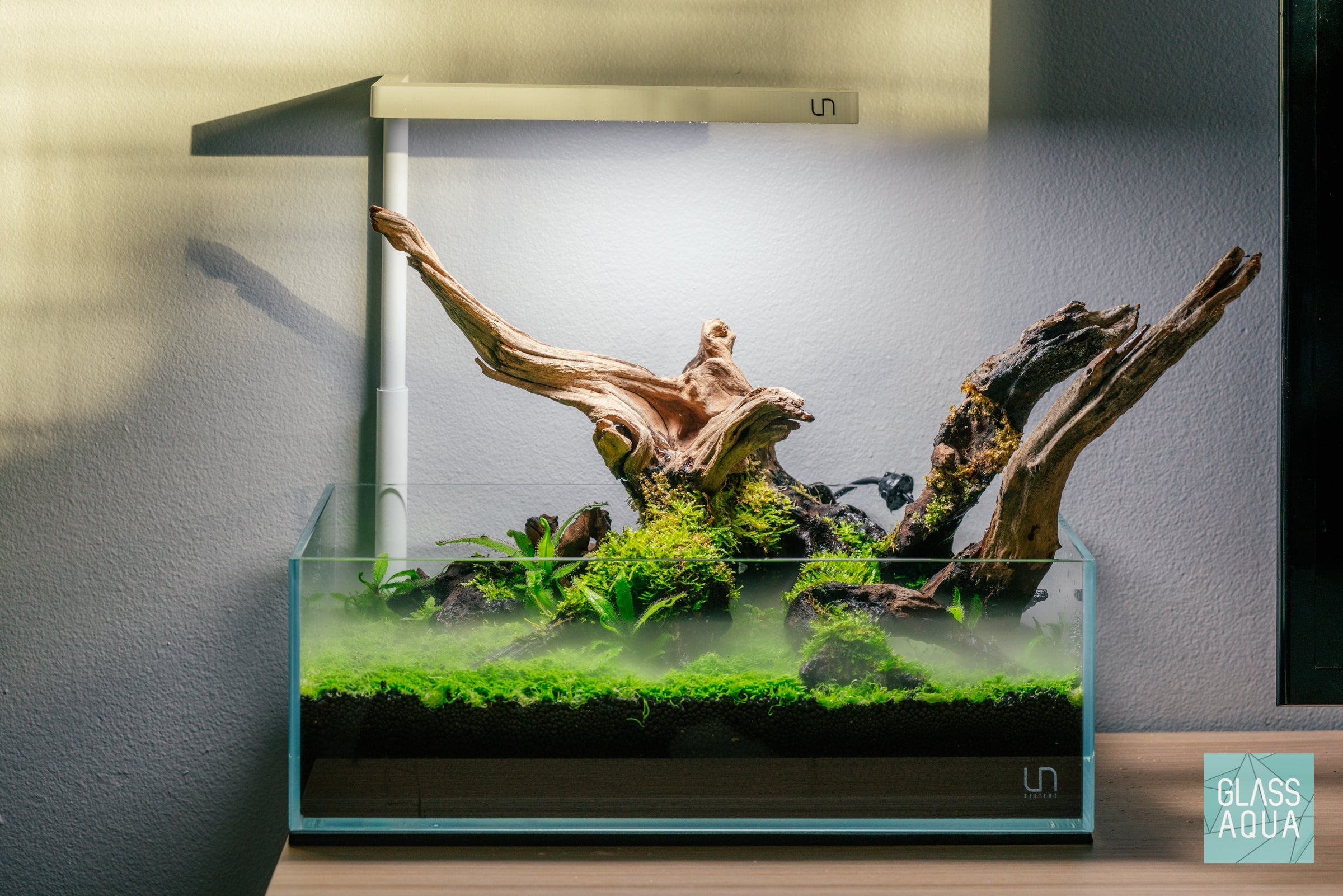 Carnivorous – Glass Aqua