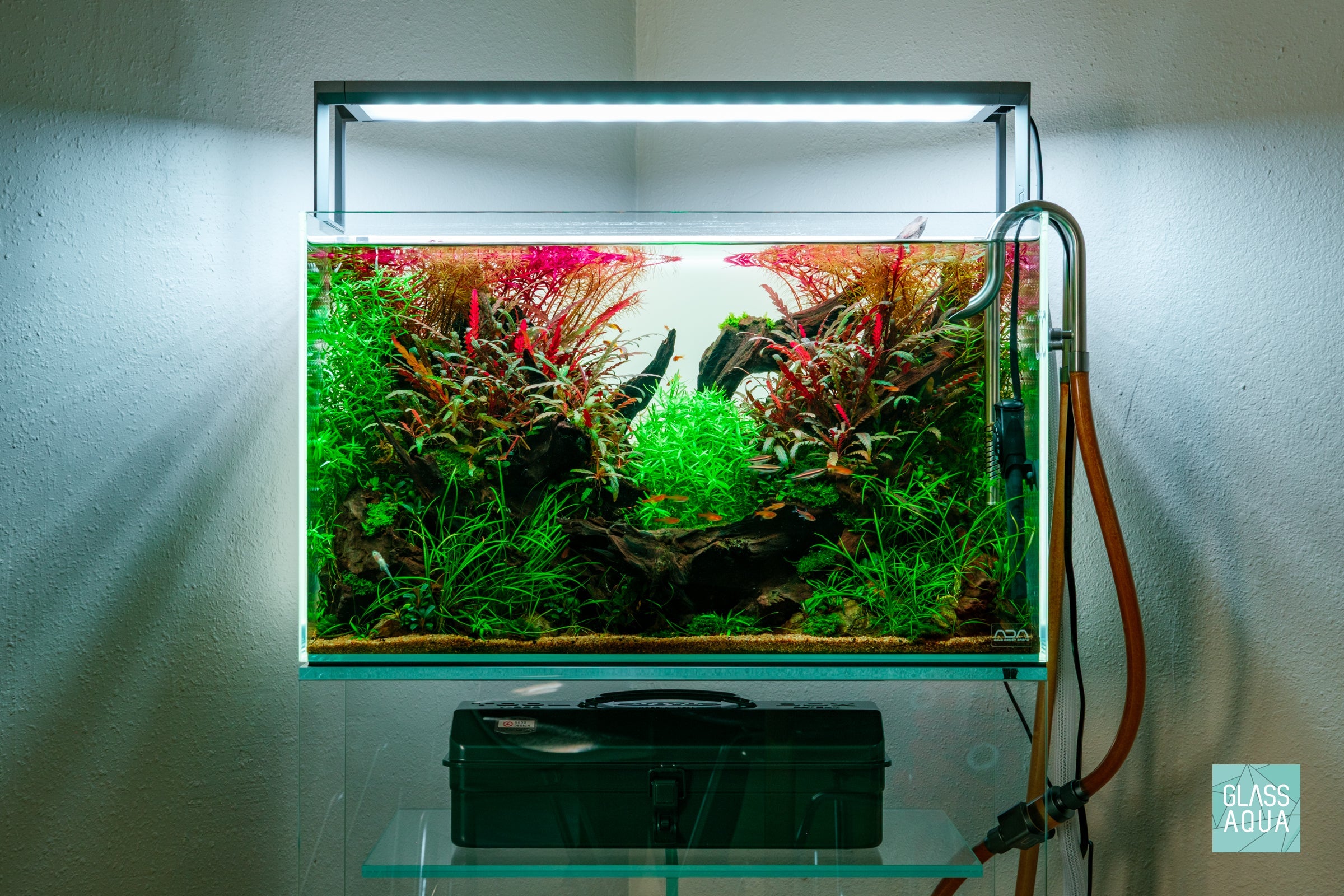 Lunar Crest - 17 Gallon Planted Aquarium | Glass Aqua