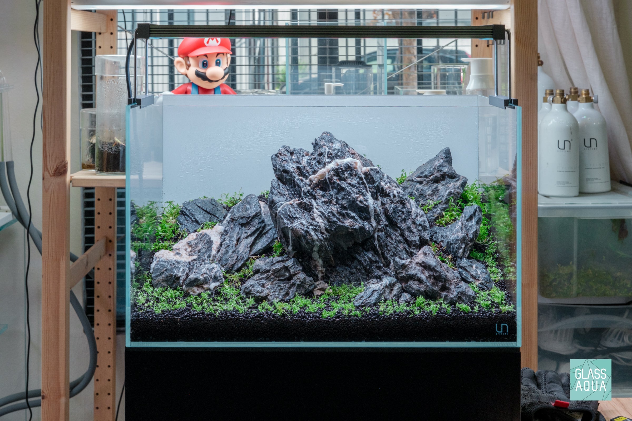 Vermillion Rush - UNS 45U Iwagumi Planted Tank | Glass Aqua