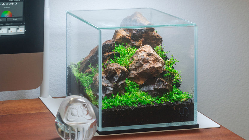 Ultum Nature Systems Rimless Low Shallow Glass Aquarium Tank