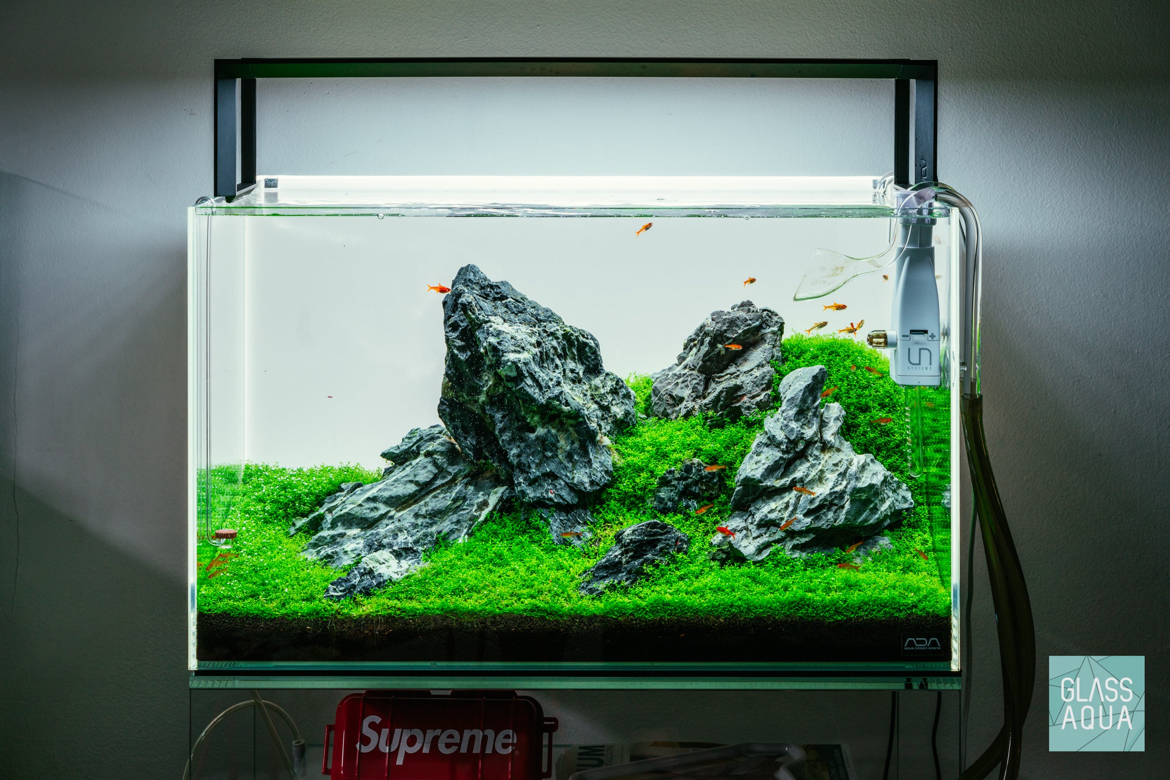Green Cliffs - ADA 60P Iwagumi | Glass Aqua