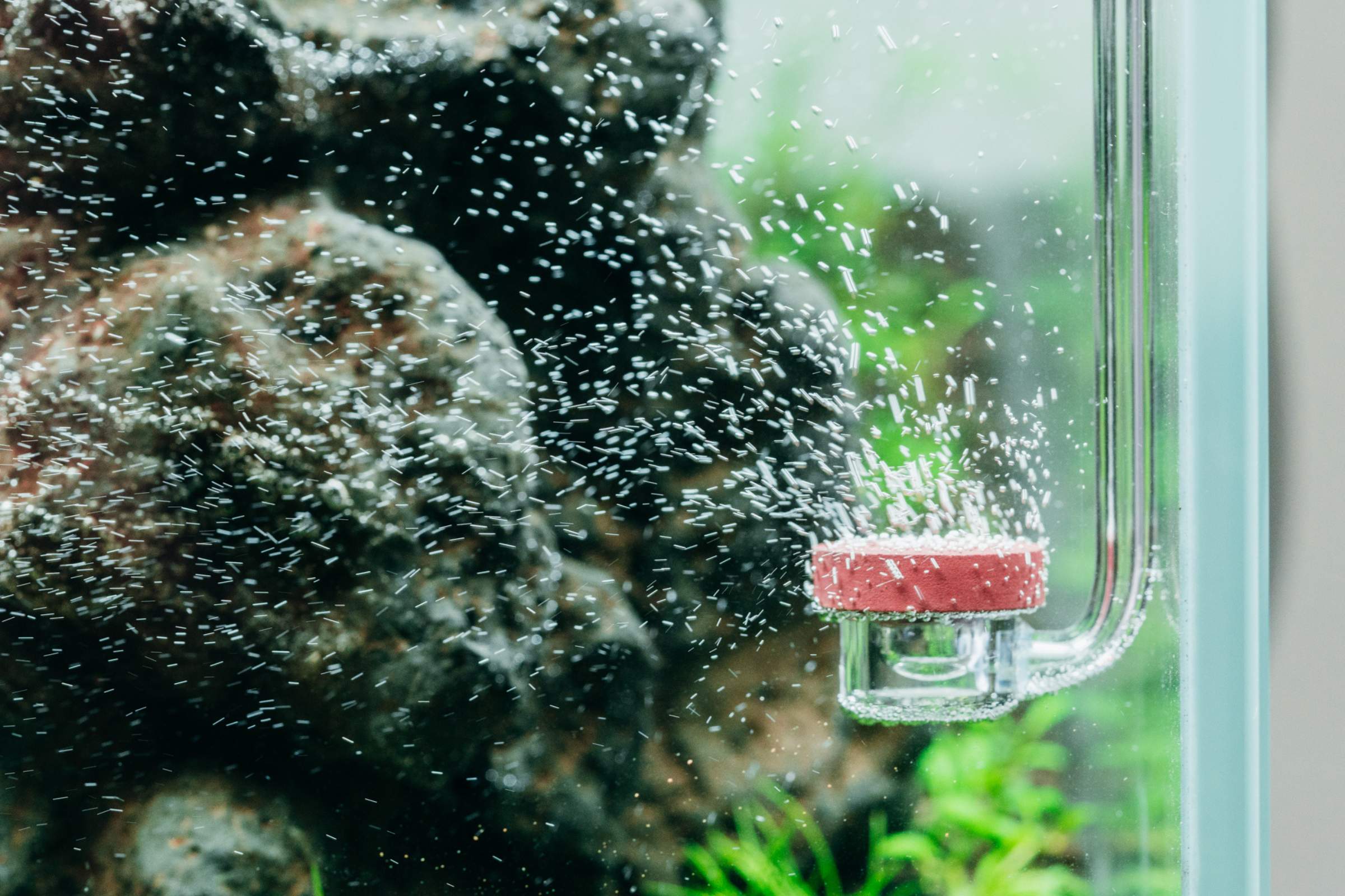 Planted Aquarium CO2 Diffusers – Glass Aqua