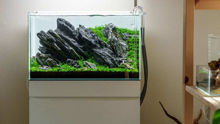 Ultum Nature Systems UNS Reef System – Glass Aqua