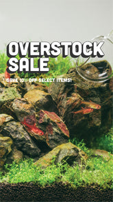 Glass Aqua - Aquascaping and Planted Aquarium Tank Online Store