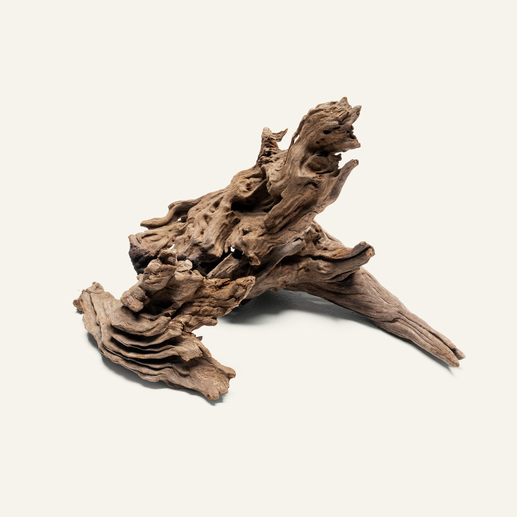 Pacific Driftwood Stumps - Planted Tanks | Glass Aqua