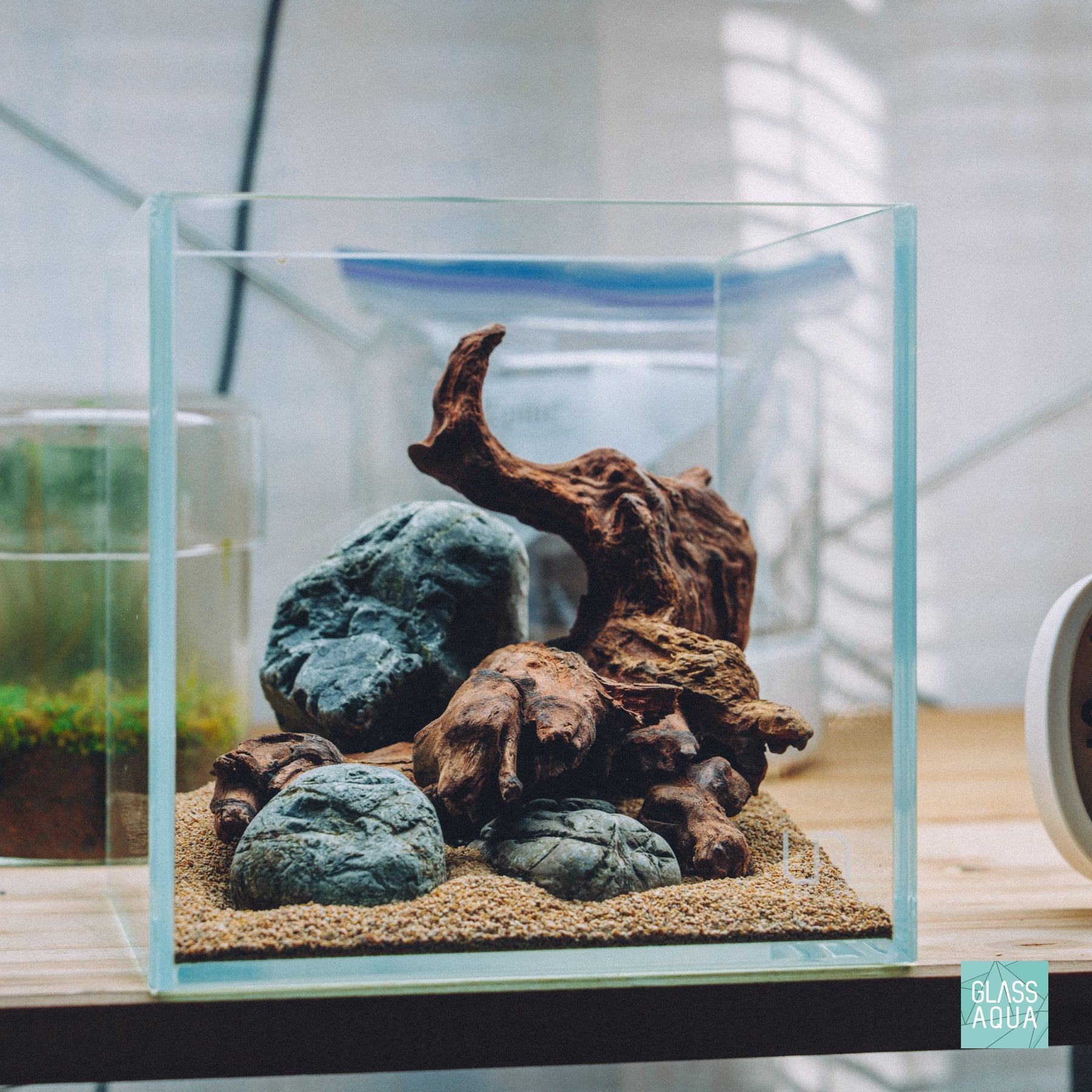 Quick Scape 155 – Curated Aquascapes | Glass Aqua